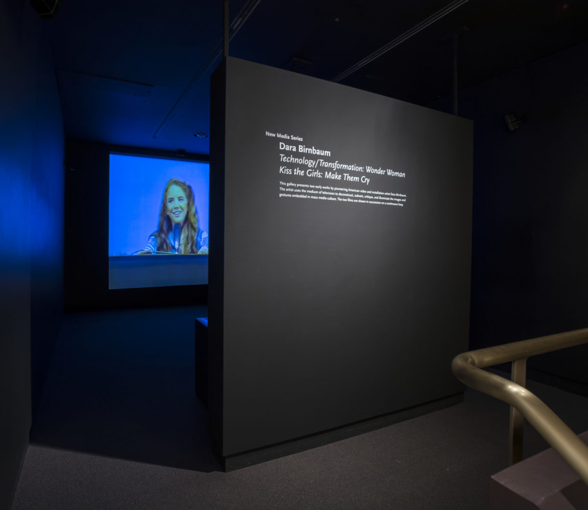 Dara Birnbaum | Exhibitions | Saint Louis Art Museum