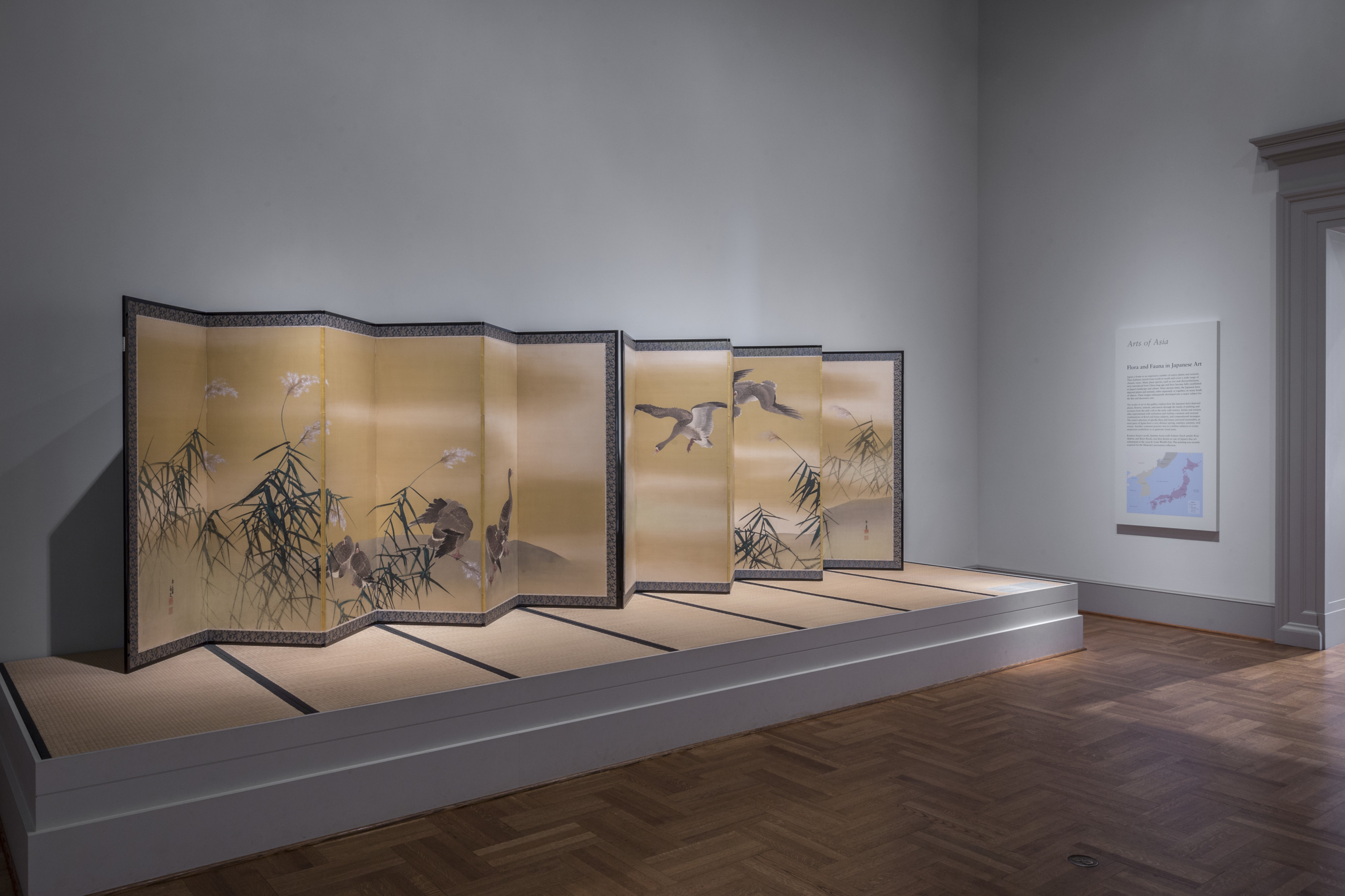 Flora and Fauna in Japanese Art - Saint Louis Art Museum