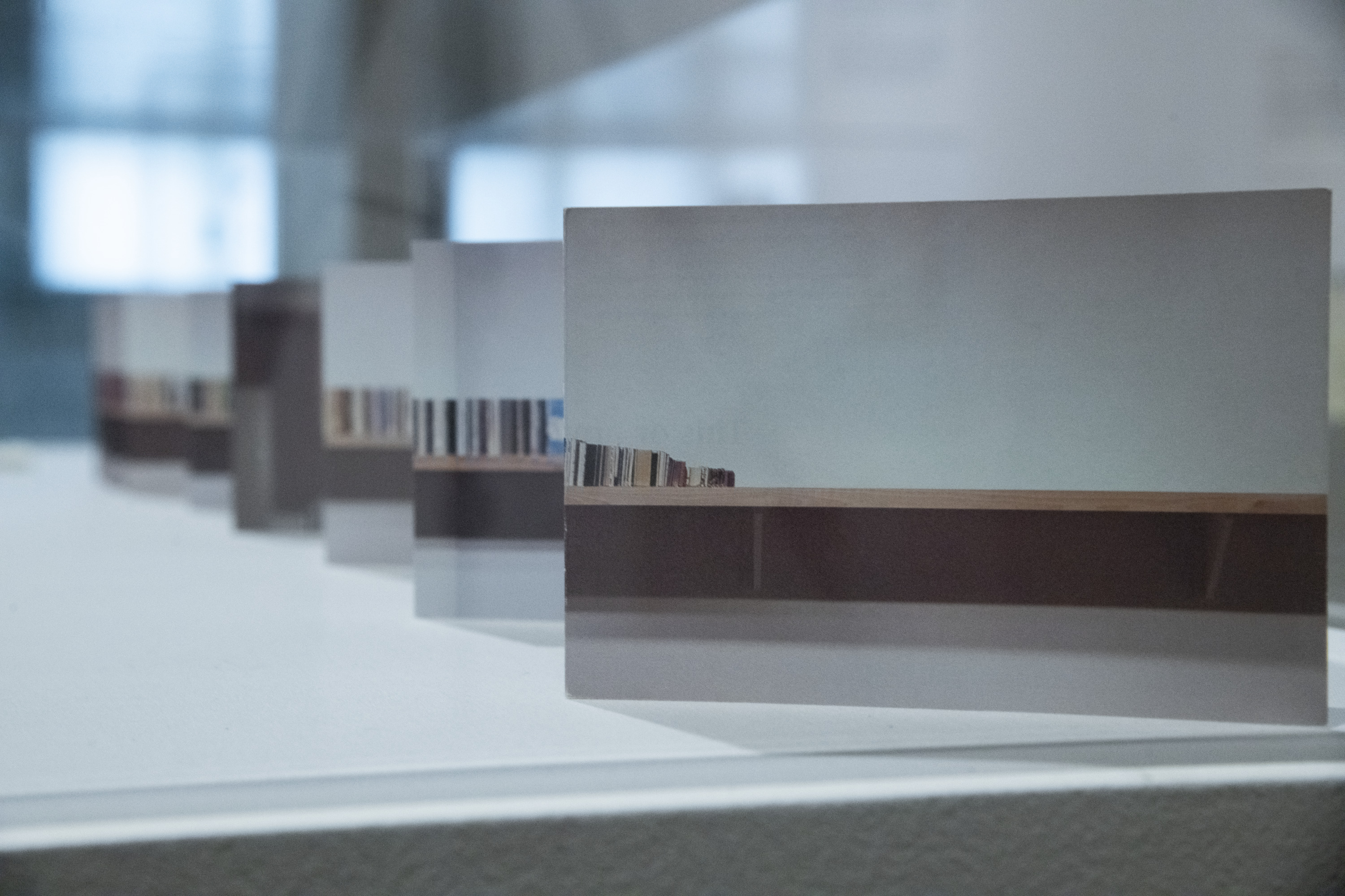 Buzz Spector: Alterations - Saint Louis Art Museum