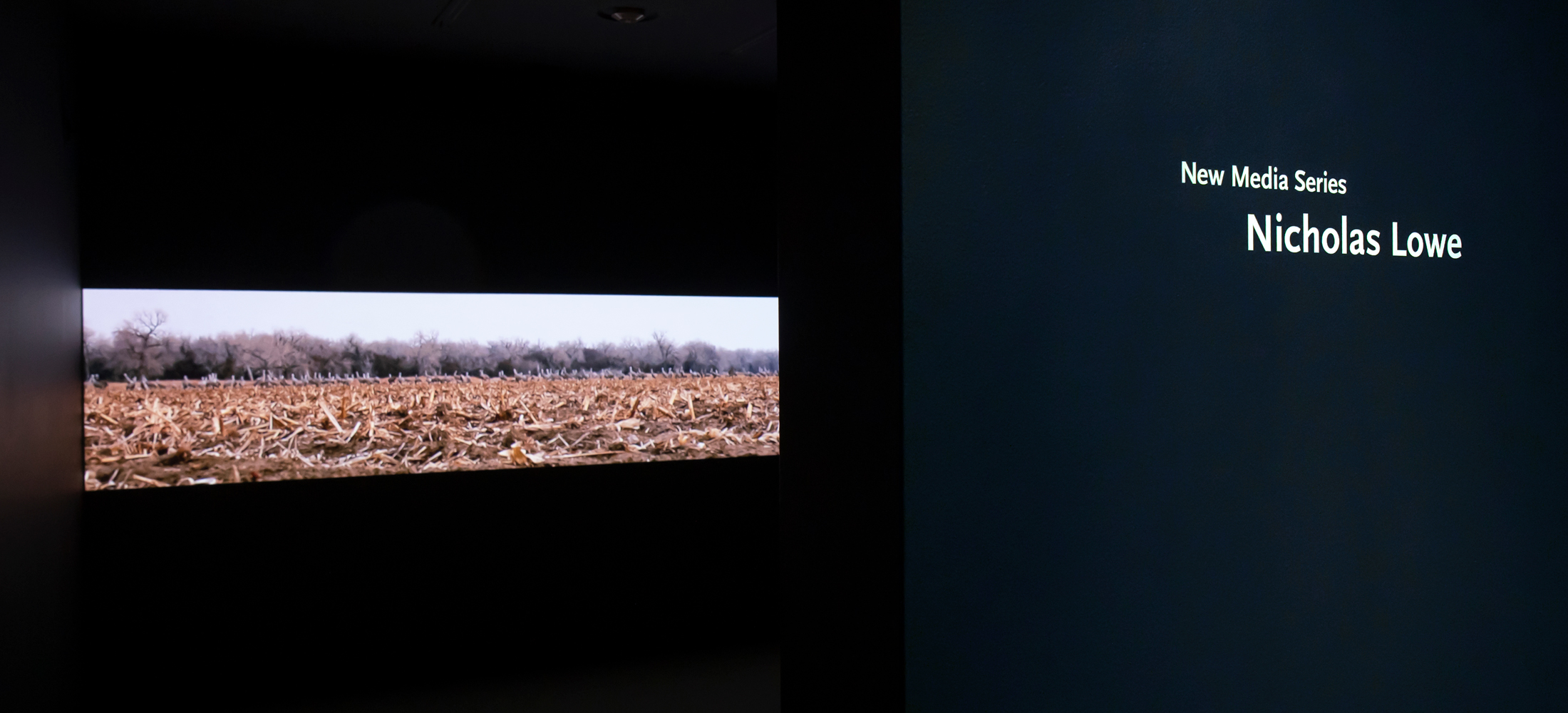 New Media Series: Nicholas Lowe - Saint Louis Art Museum