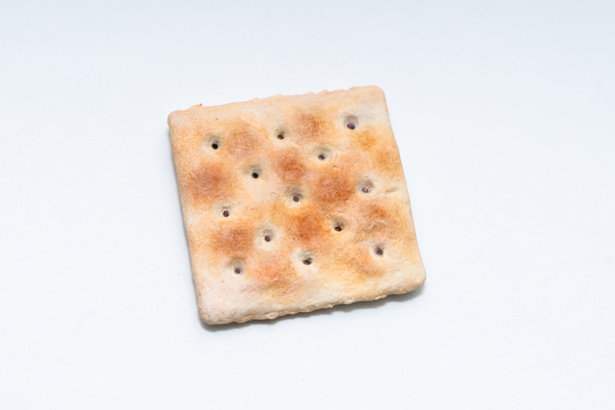 ‘Currents 123’ features hypernaturalistic sculptor Tamara Johnson ...