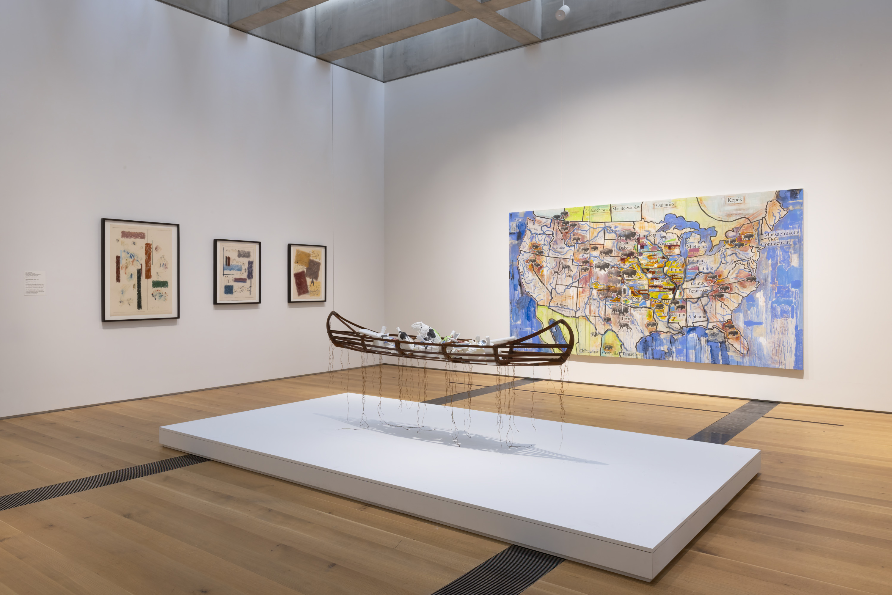 Jaune Quick-to-See Smith - Saint Louis Art Museum