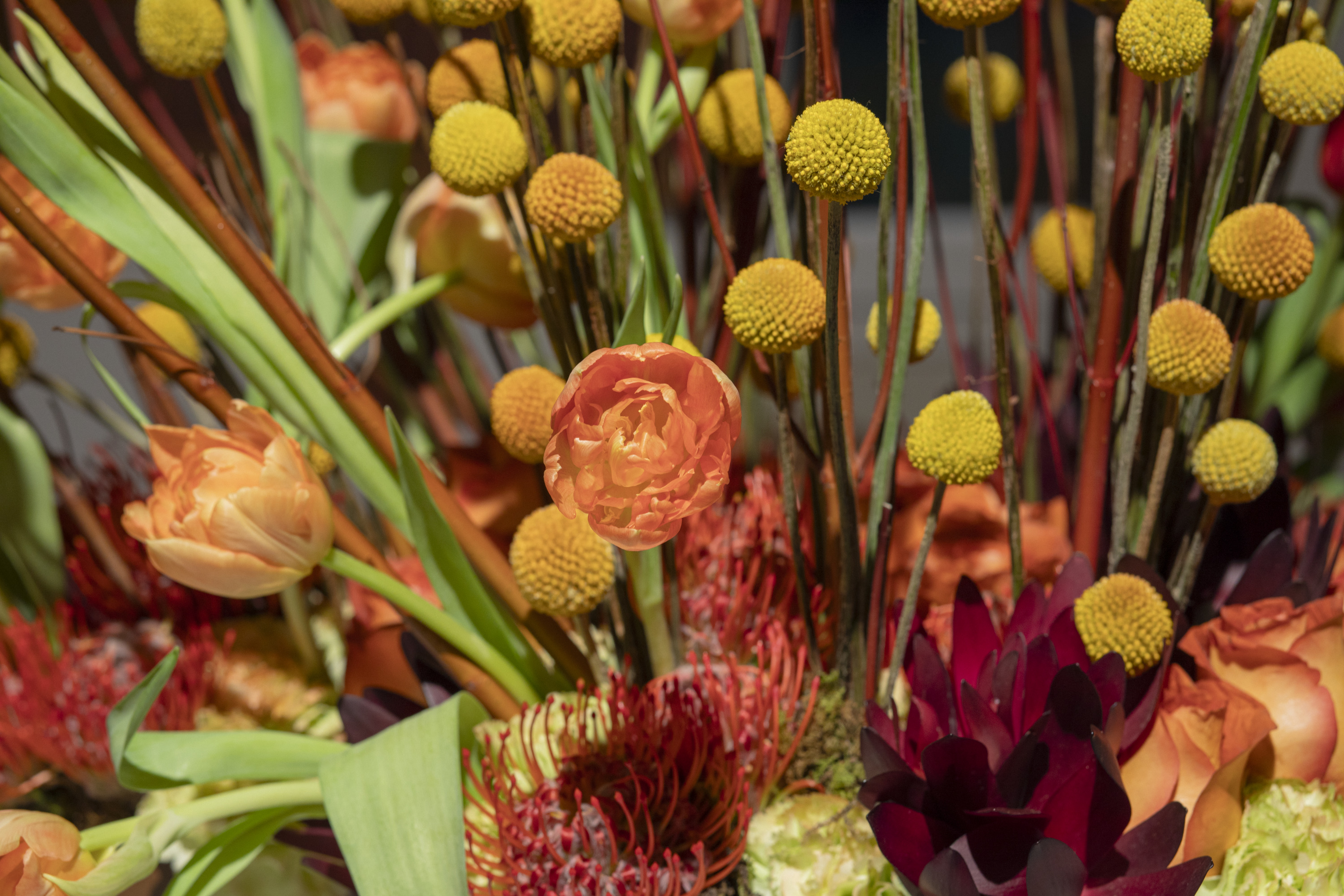 The making of Art in Bloom 2025 - Saint Louis Art Museum