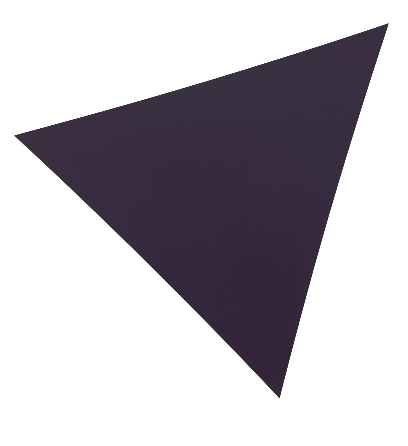 Ellsworth Kelly was a diligent student of nature - Saint Louis Art Museum