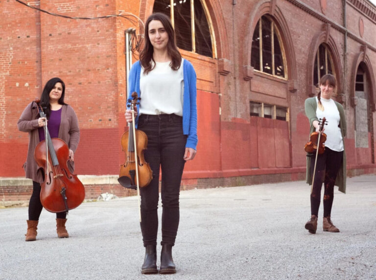 St. Louis String Collective Performance - Saint Louis Art Museum