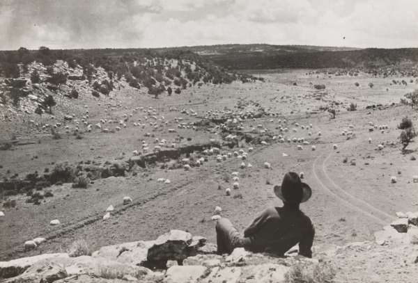 Collectors Circle—Phillip Prodger, The Face of America: Hoppe's ...