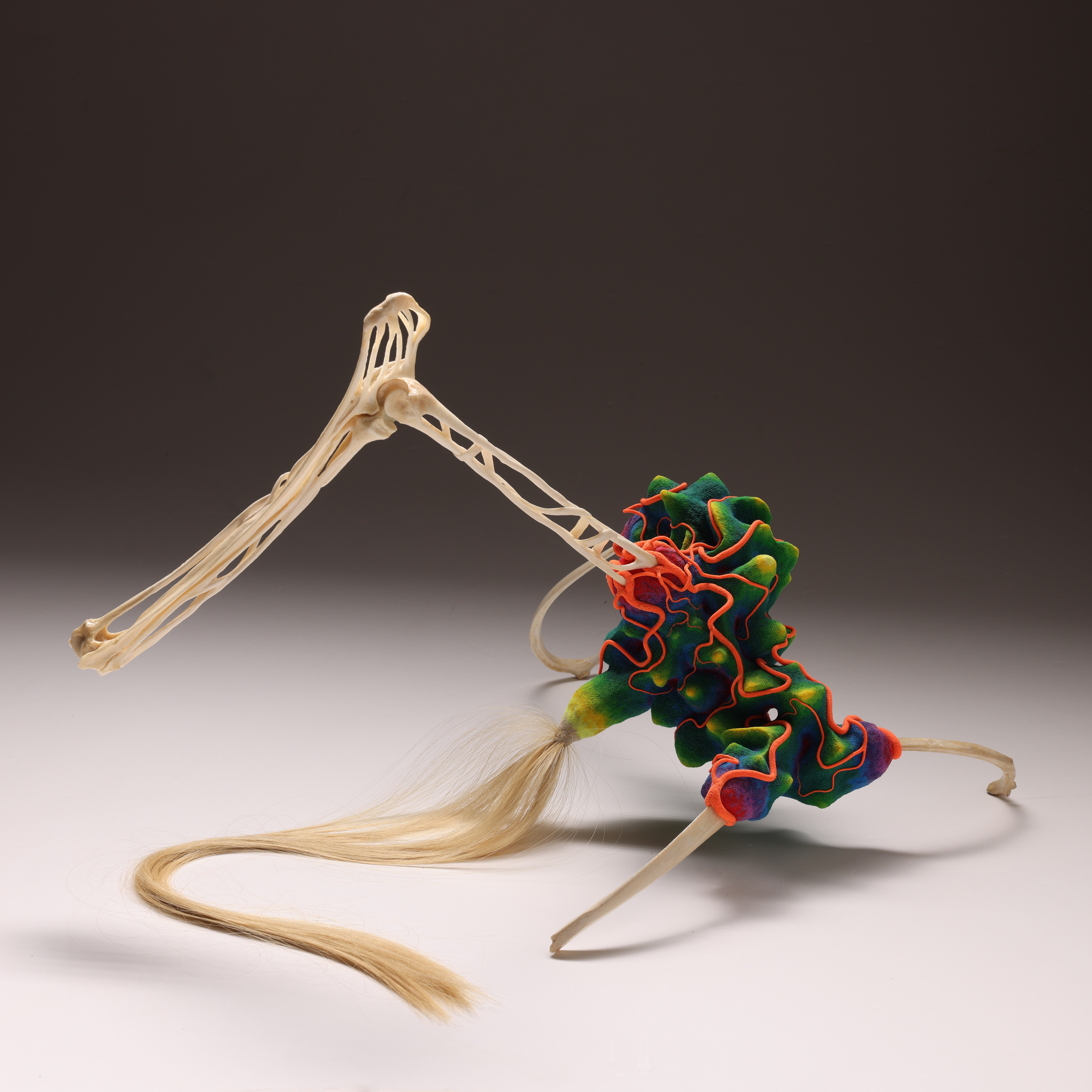 Blas Isasi explores Peru’s complex history through sculptural works in ...