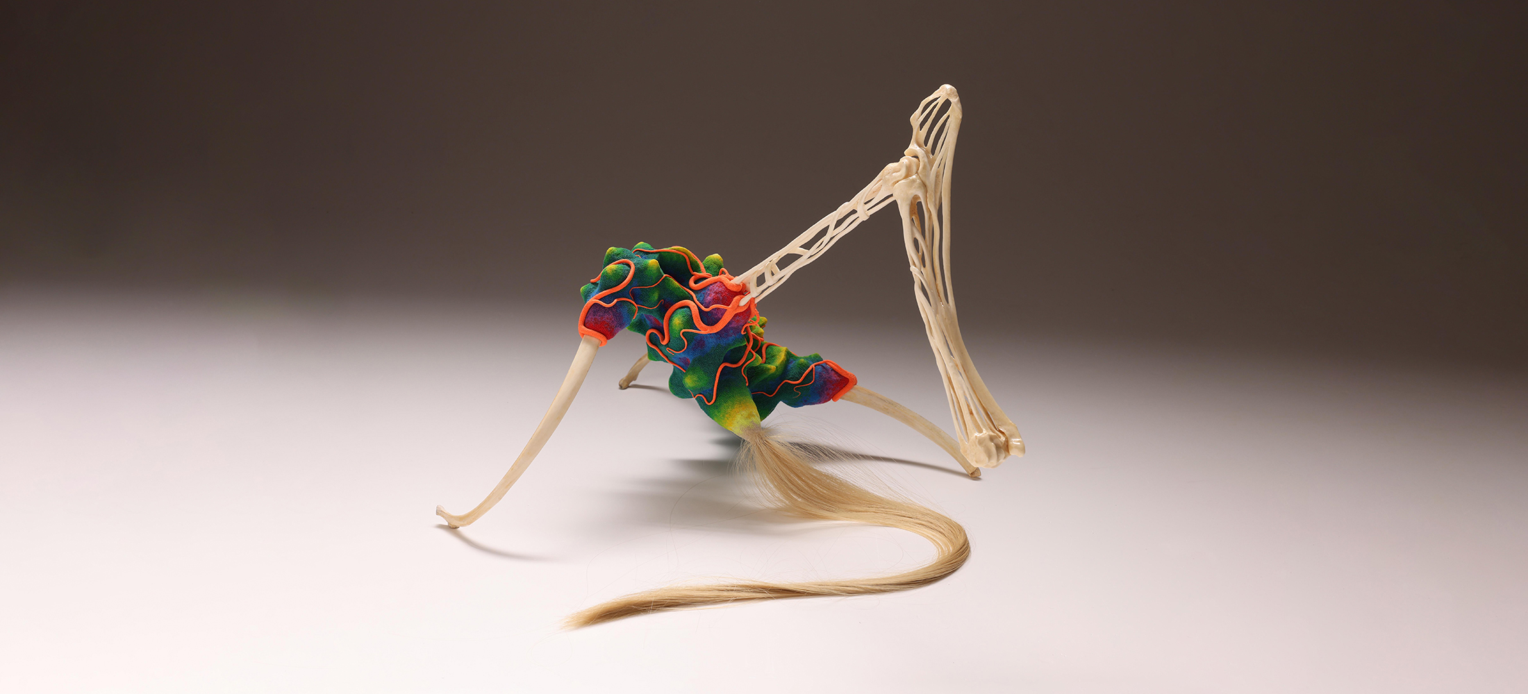 Currents 125: Blas Isasi - Saint Louis Art Museum