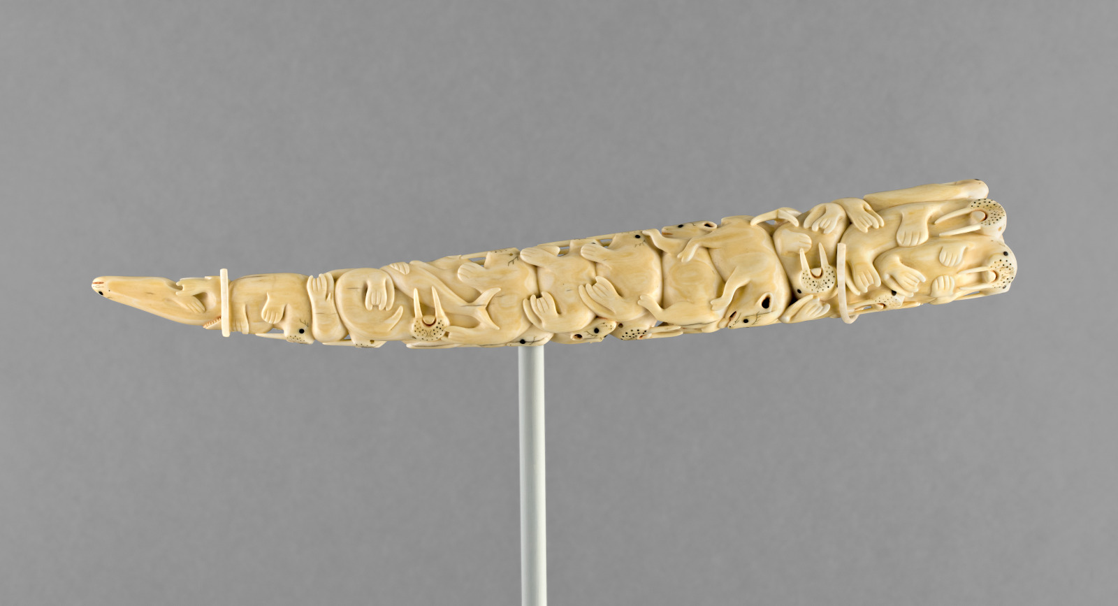 Carved tusk - Saint Louis Art Museum