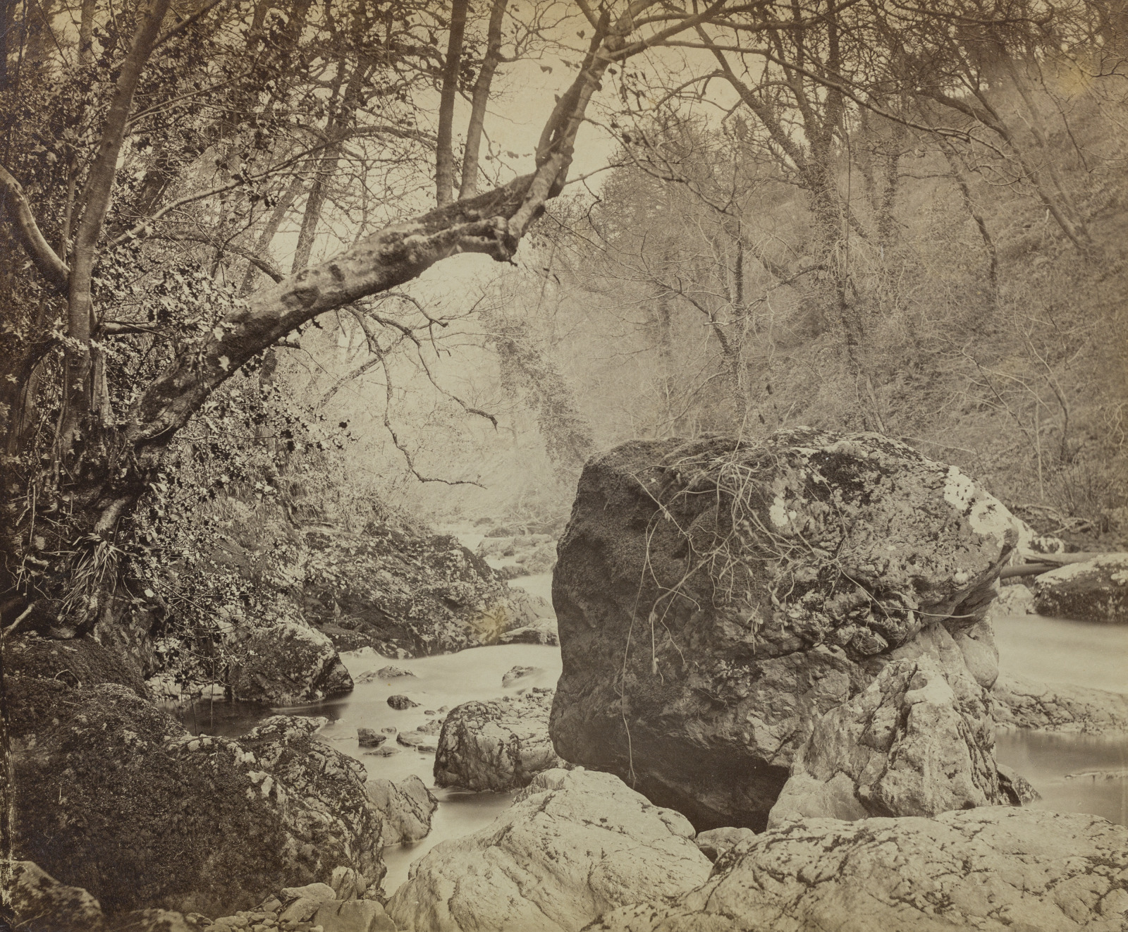 Dargle River, Ireland - Saint Louis Art Museum