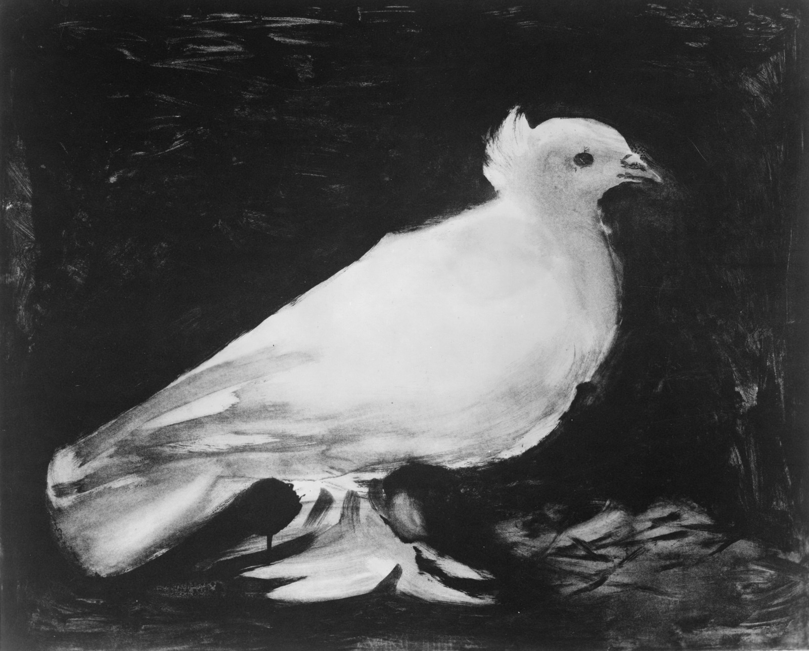 The Dove - Saint Louis Art Museum