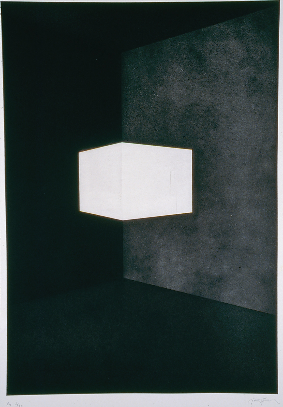 Catso - Saint Louis Art Museum