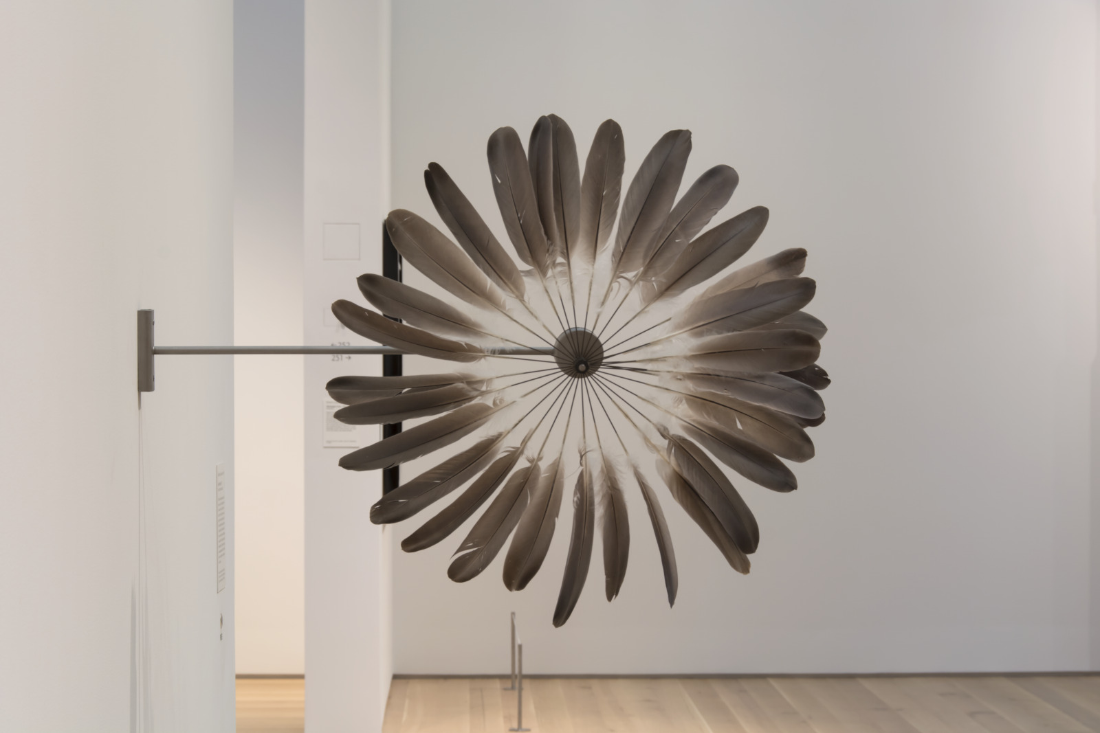 Feather Wheel - Saint Louis Art Museum