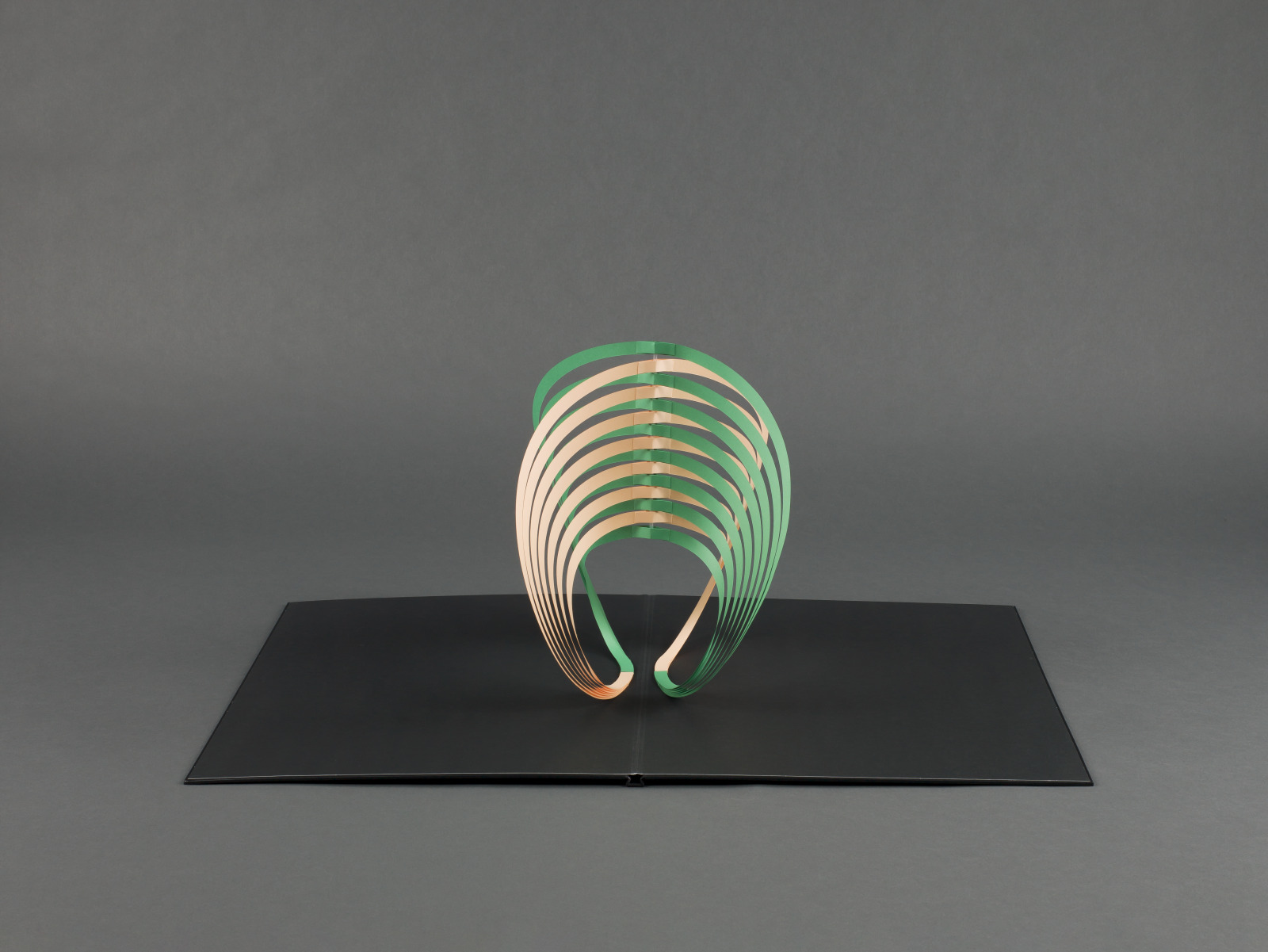 Mobius - Saint Louis Art Museum
