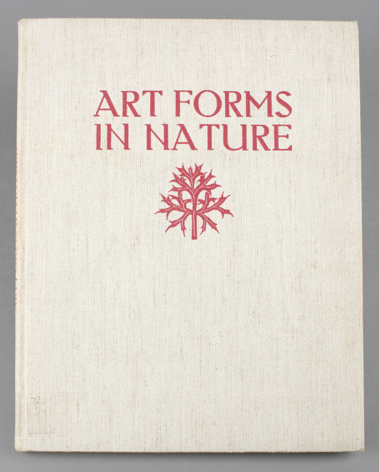 Art Forms in Nature - Saint Louis Art Museum