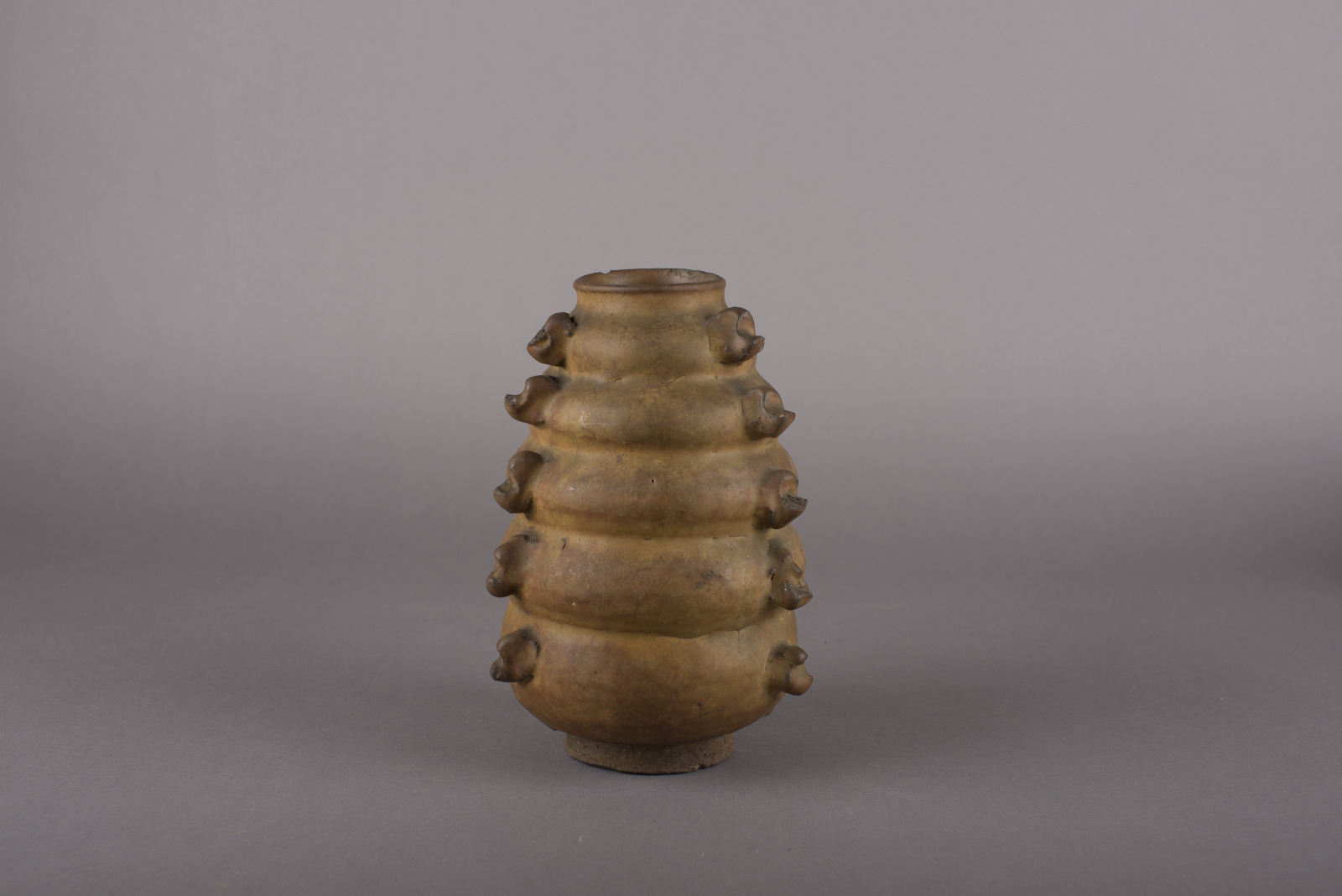 Funerary Jar in the Form of a Bamboo Root with Applied Projections ...