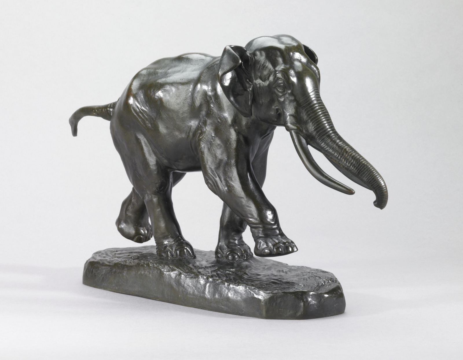 Elephant of Senegal - Saint Louis Art Museum