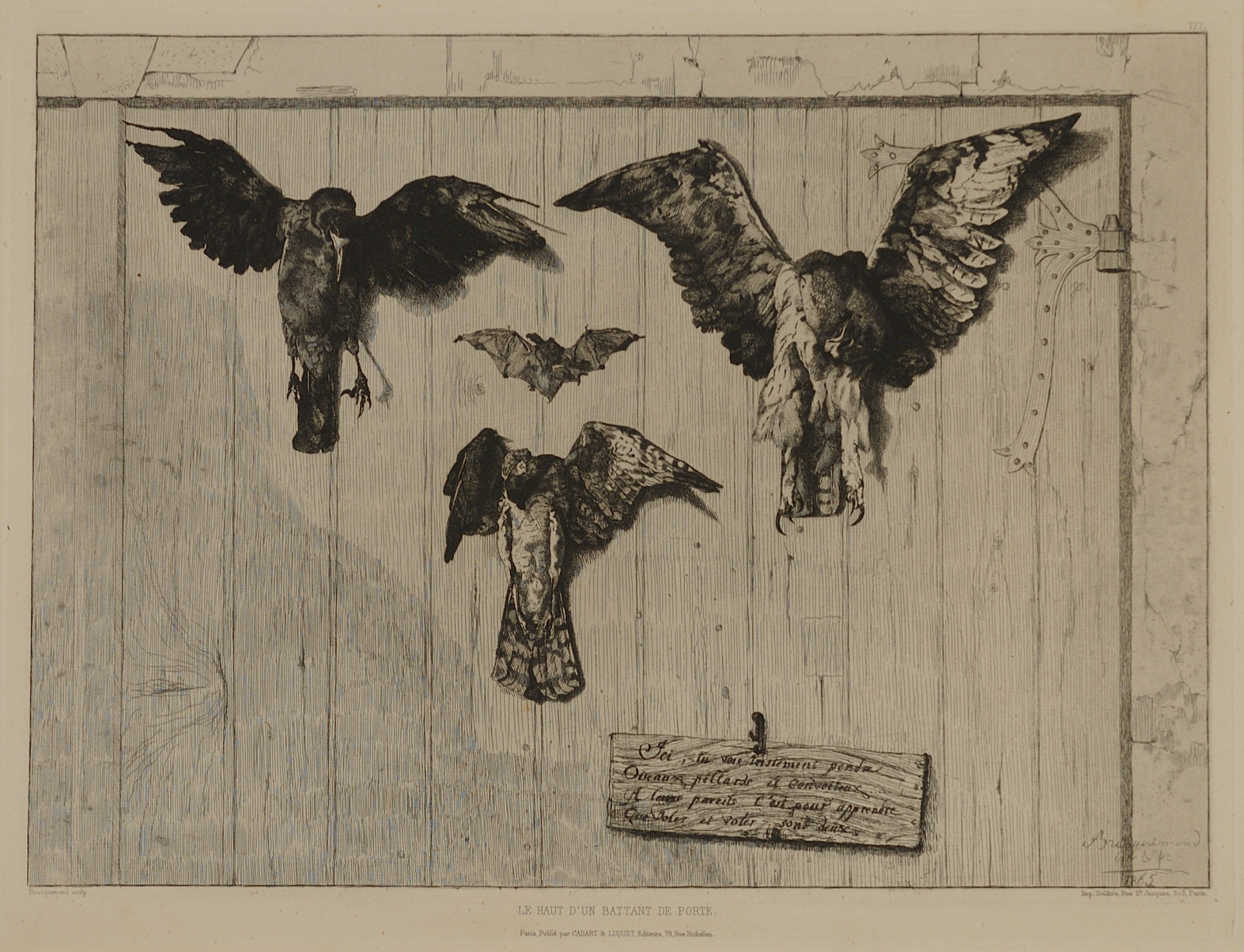 Birds Nailed to a Barn Door - Saint Louis Art Museum