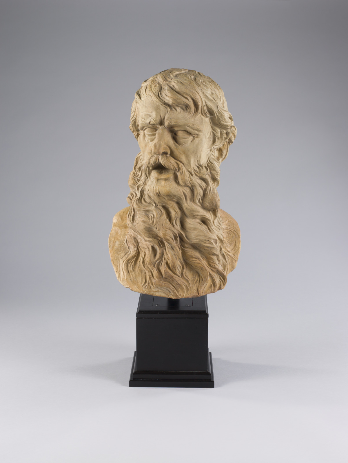 Bust of a Prophet or Mythological Figure - Saint Louis Art Museum