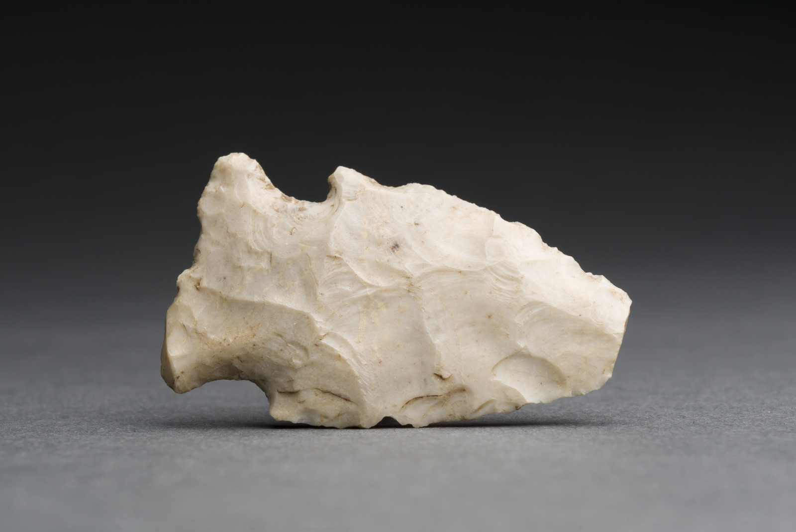 Projectile Point - Saint Louis Art Museum