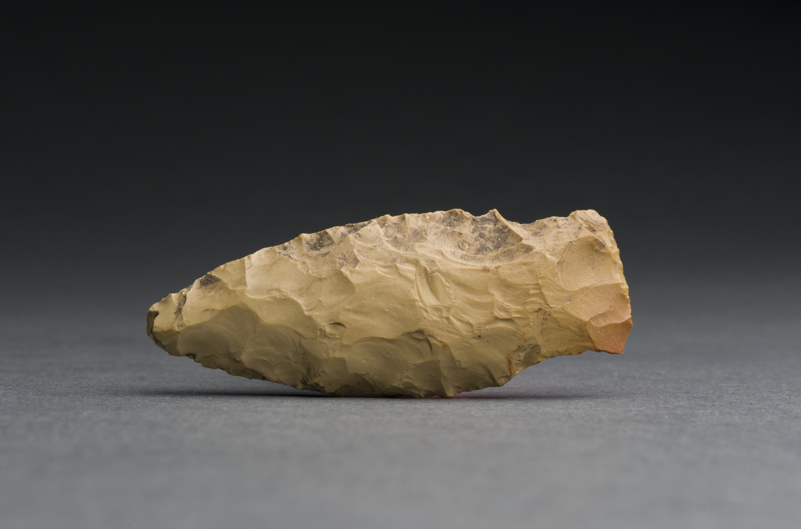 Projectile Point - Saint Louis Art Museum