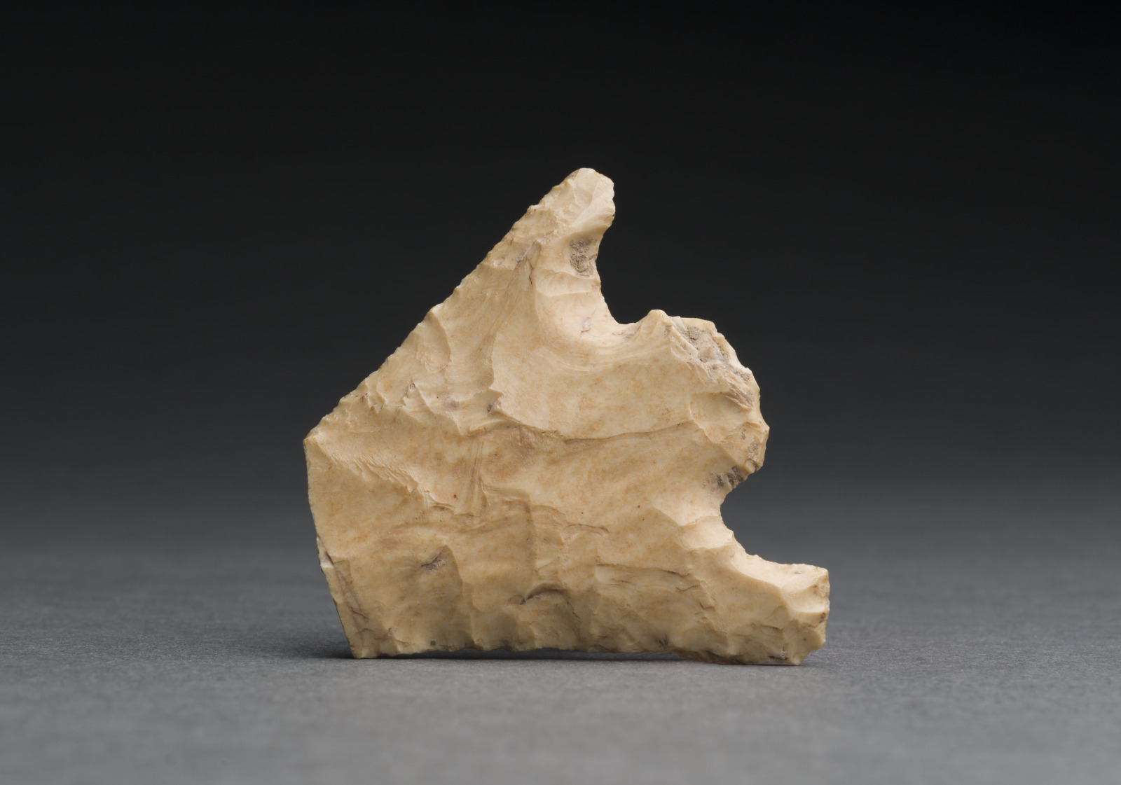 Projectile Point - Saint Louis Art Museum
