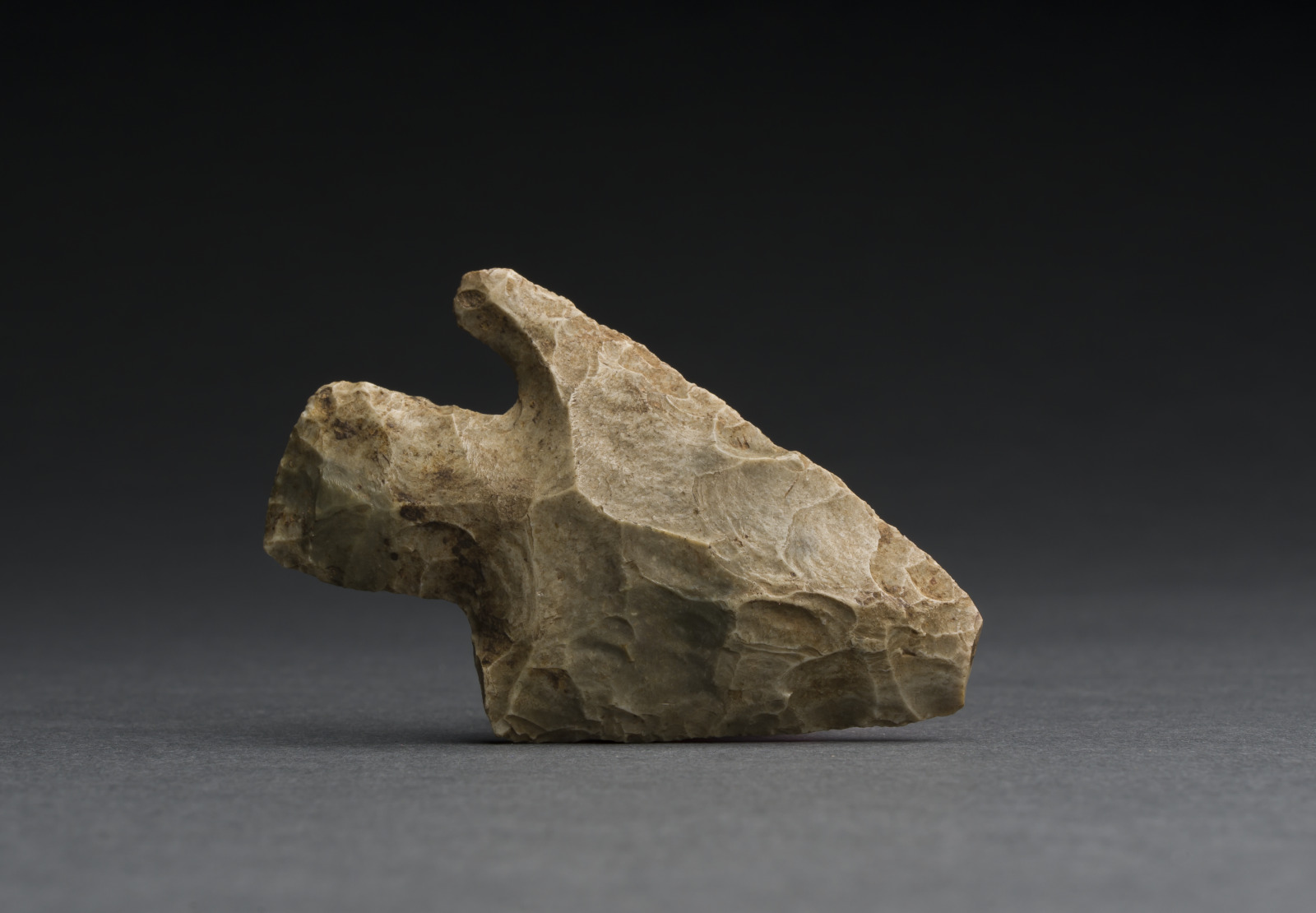 Projectile Point - Saint Louis Art Museum
