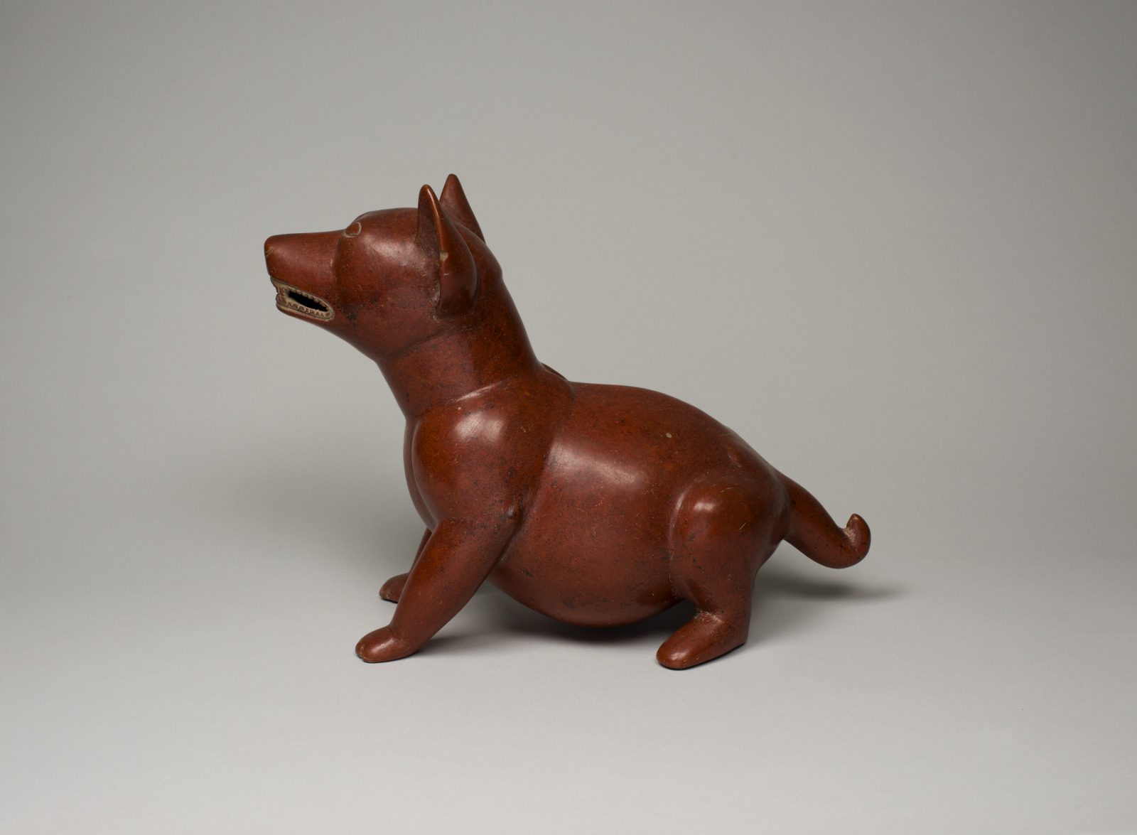 Male Dog (Techichi) - Saint Louis Art Museum