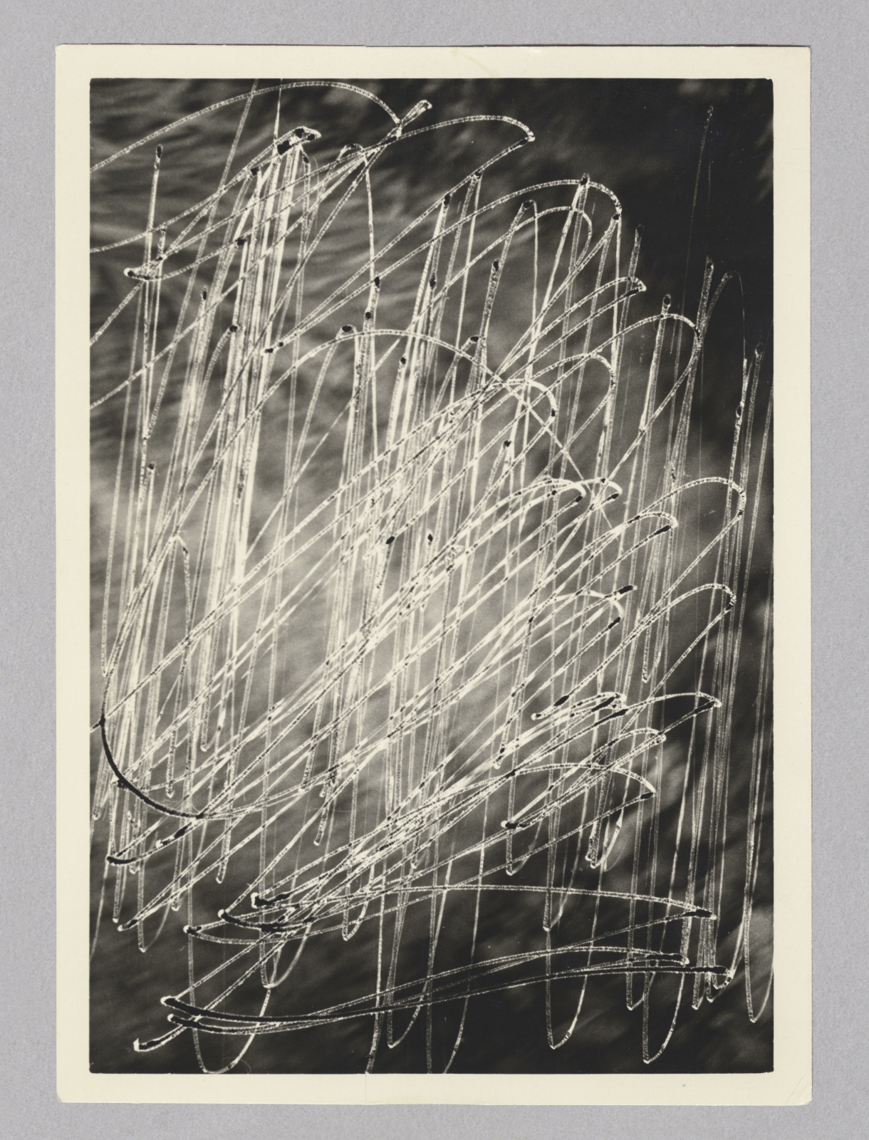 Untitled (scratched emulsion) - Saint Louis Art Museum