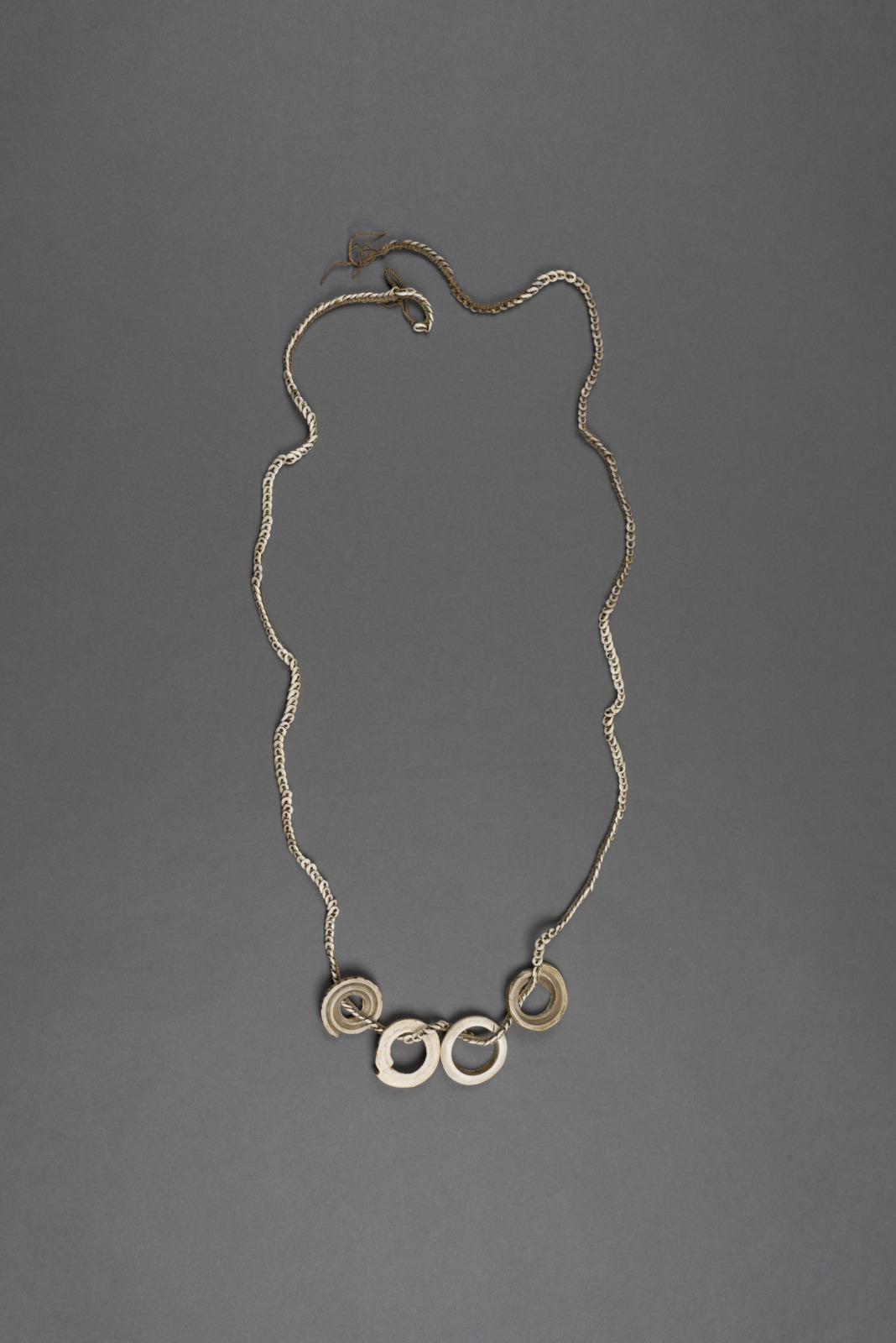 Shell Money - Saint Louis Art Museum