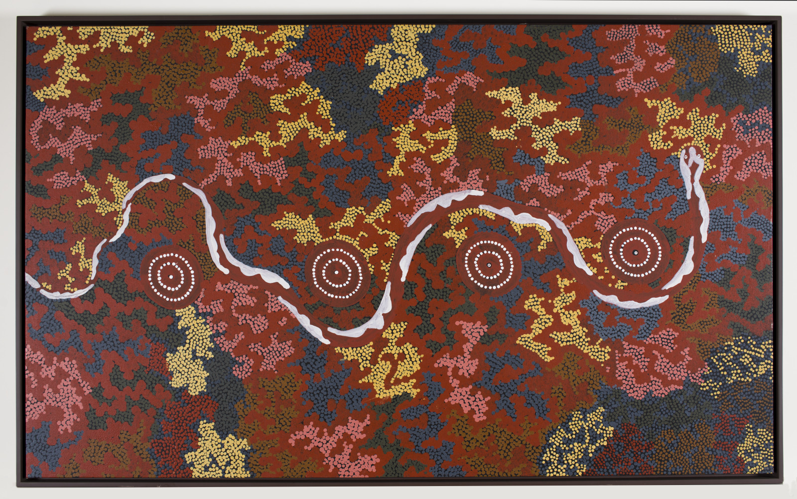 Carpet Snake Dreaming - Saint Louis Art Museum