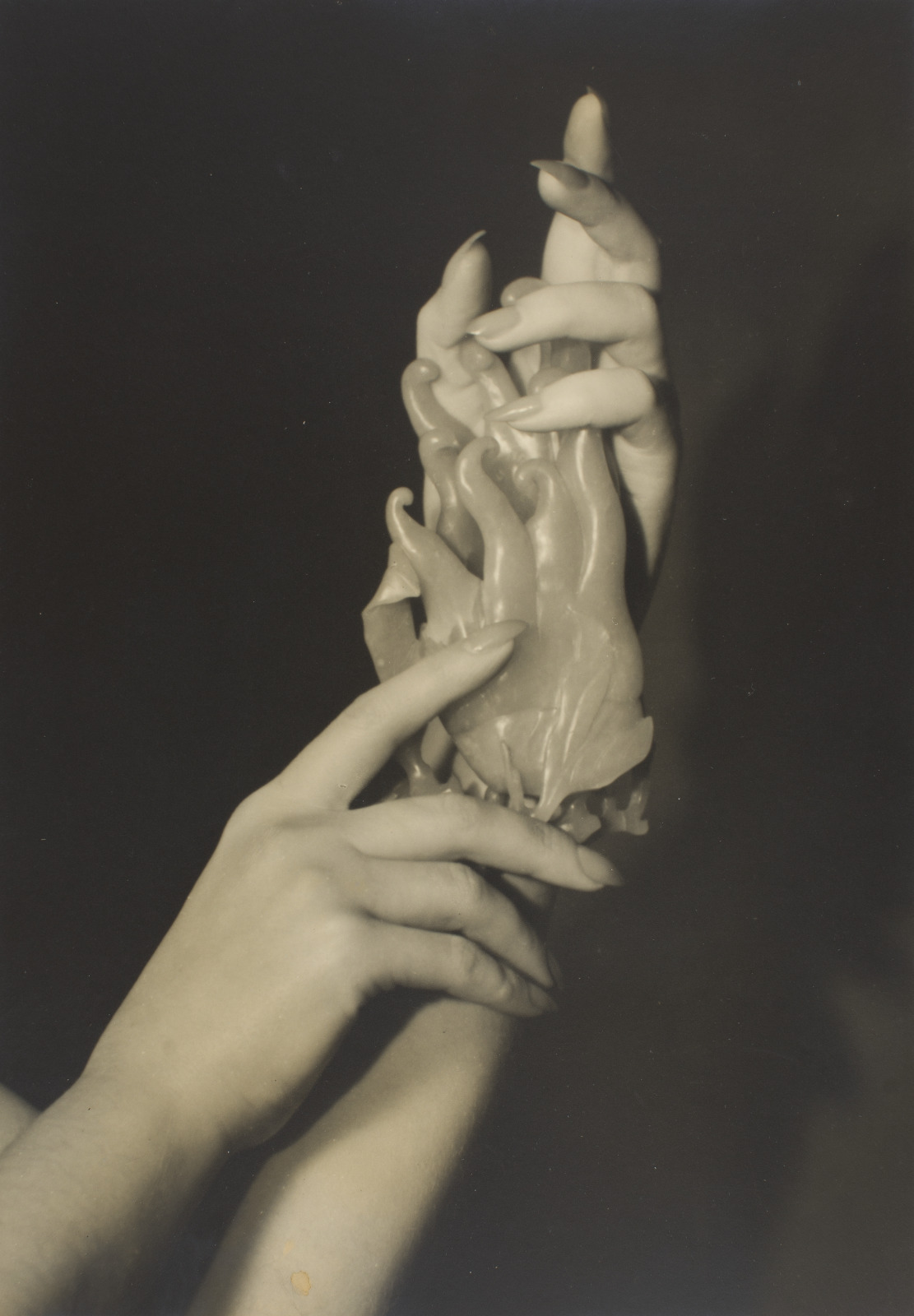 Study of Hands - Saint Louis Art Museum