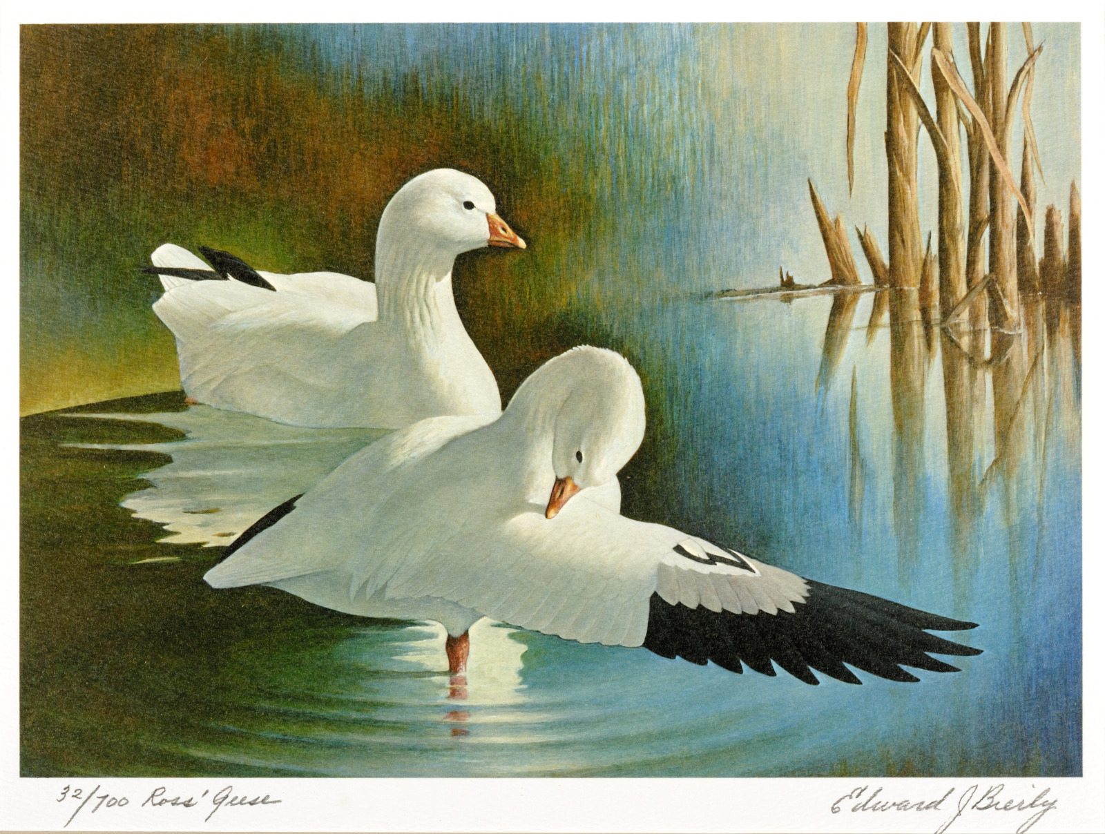 Ross' Geese - Saint Louis Art Museum