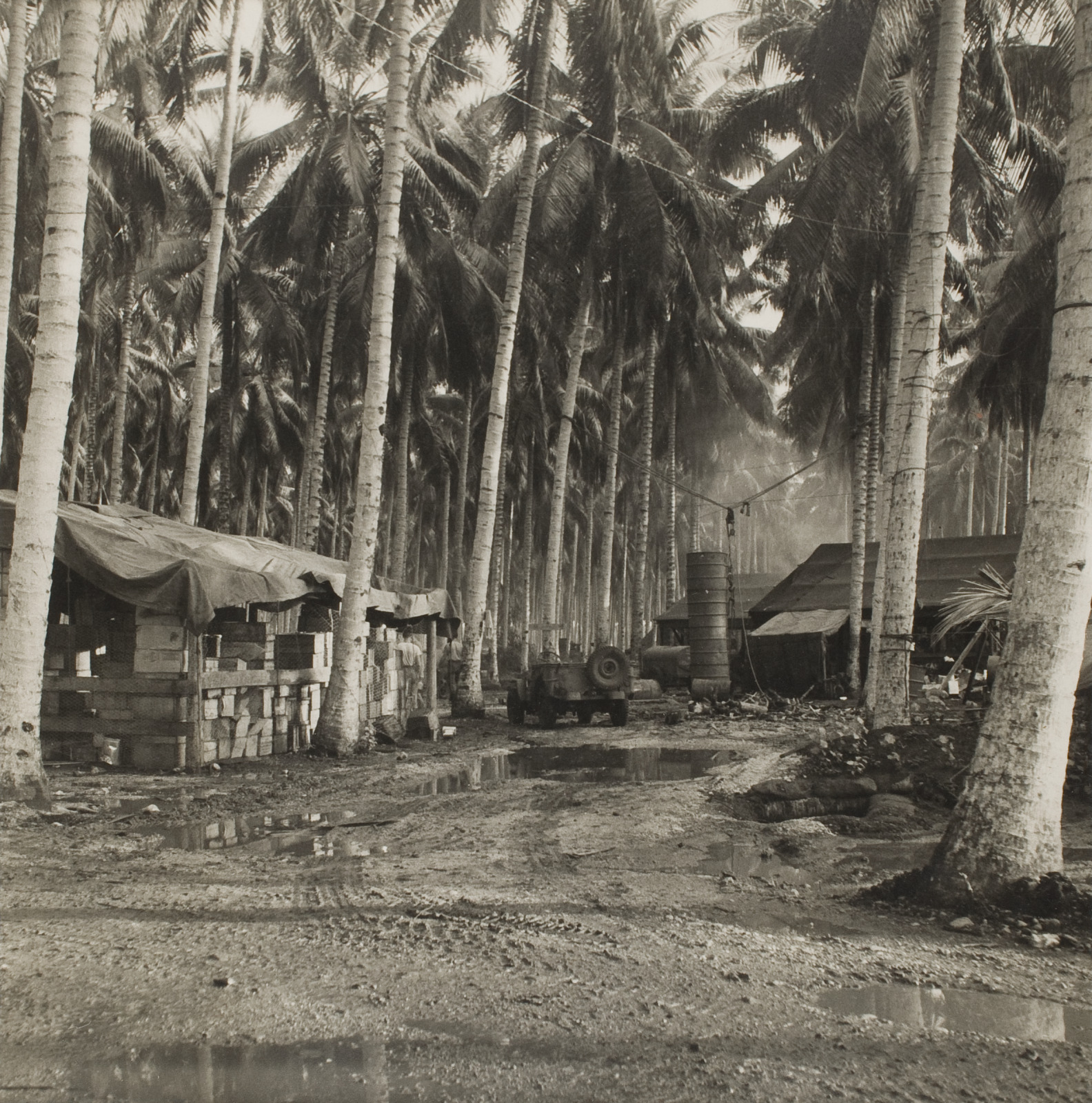 Bivouac Area Fighter Strip No. 1, Guadalcanal - Saint Louis Art Museum