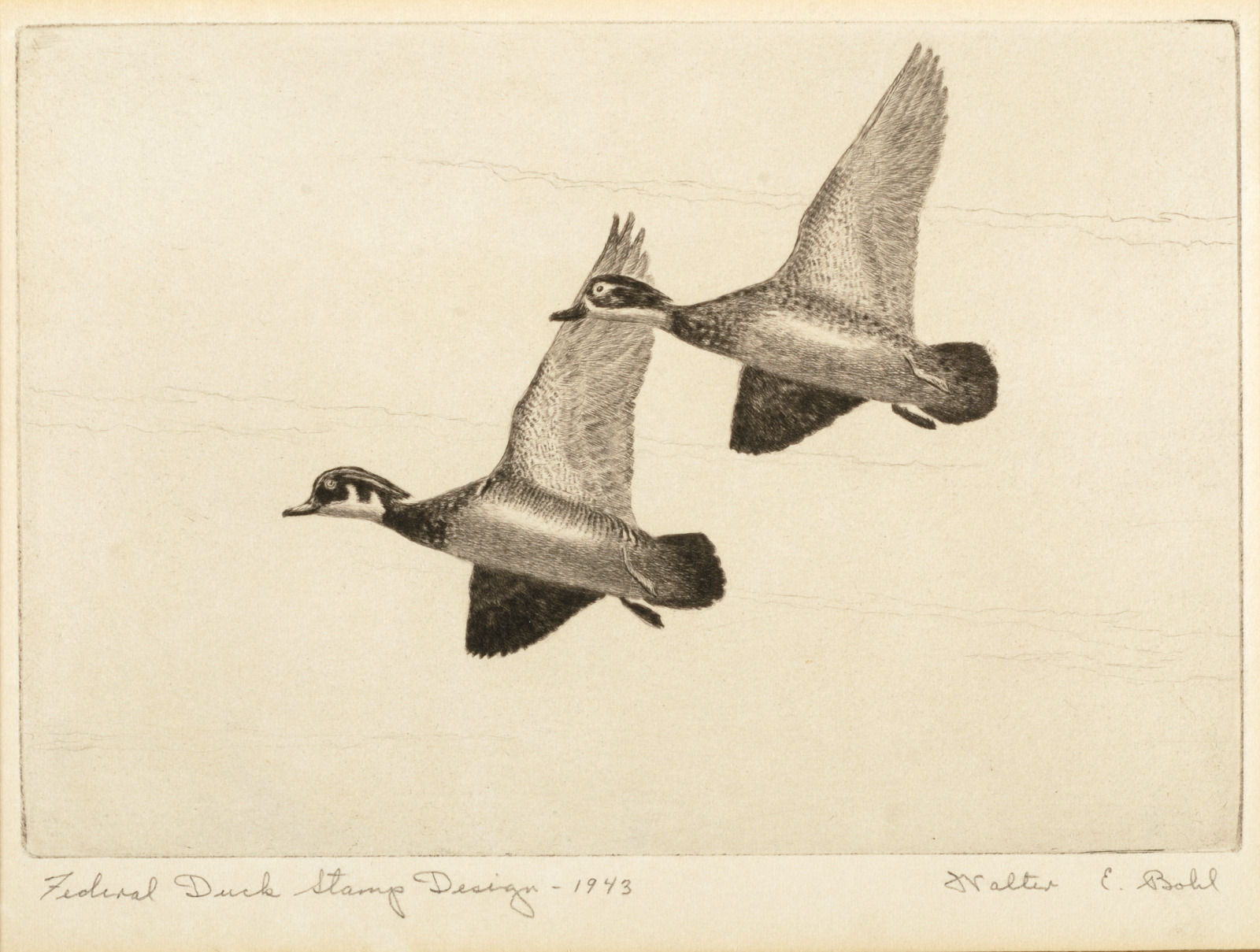 Wood Ducks - Saint Louis Art Museum