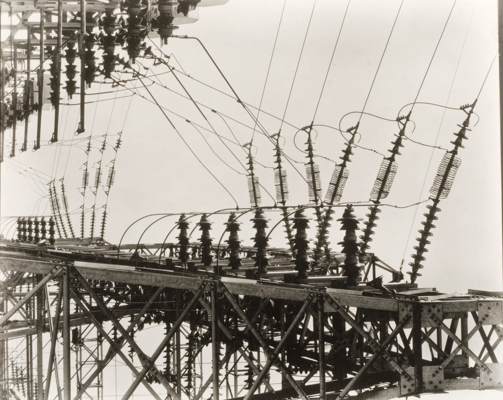 High Tension Wires - Saint Louis Art Museum