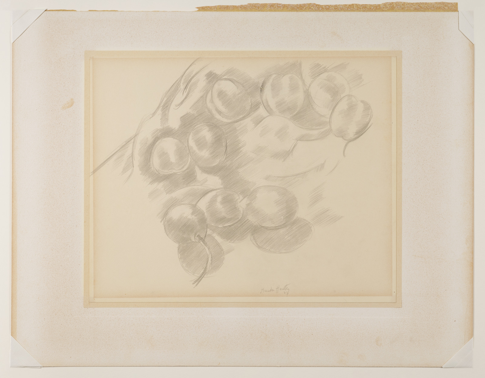 Pears, Peaches, and Lemons - Saint Louis Art Museum