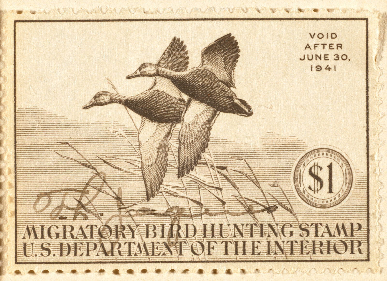 Migratory Bird Hunting Stamp after the etching "Black Ducks" - Saint ...