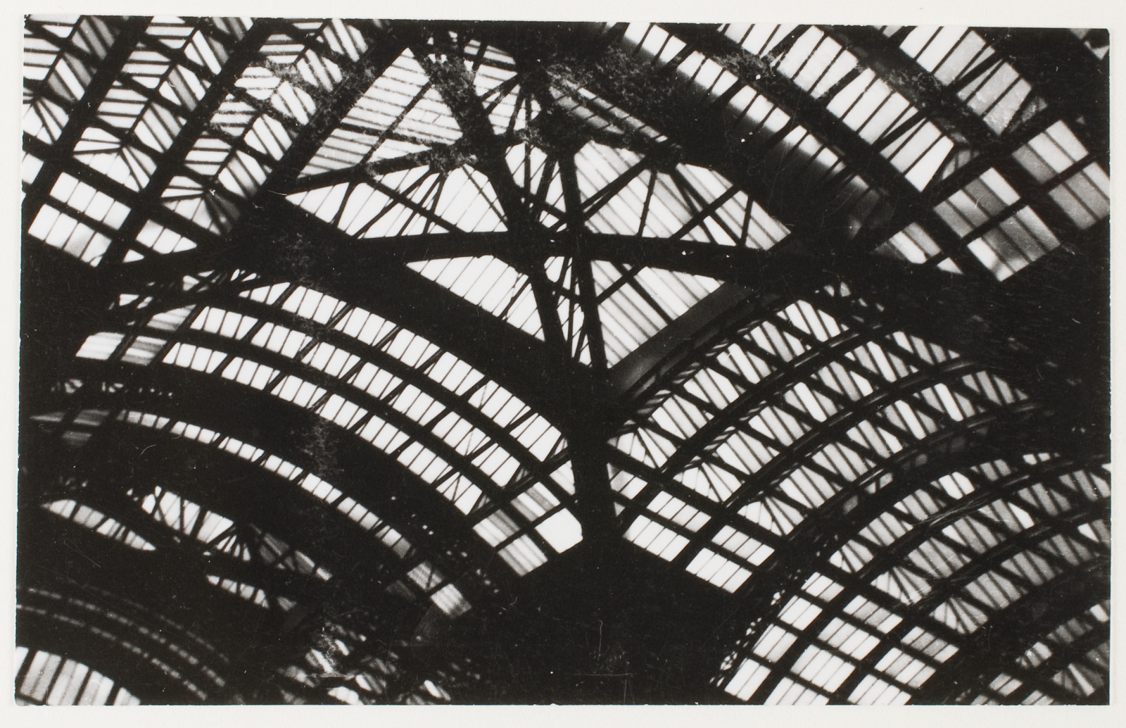 Iron work (shed?) vault (from above) - Saint Louis Art Museum