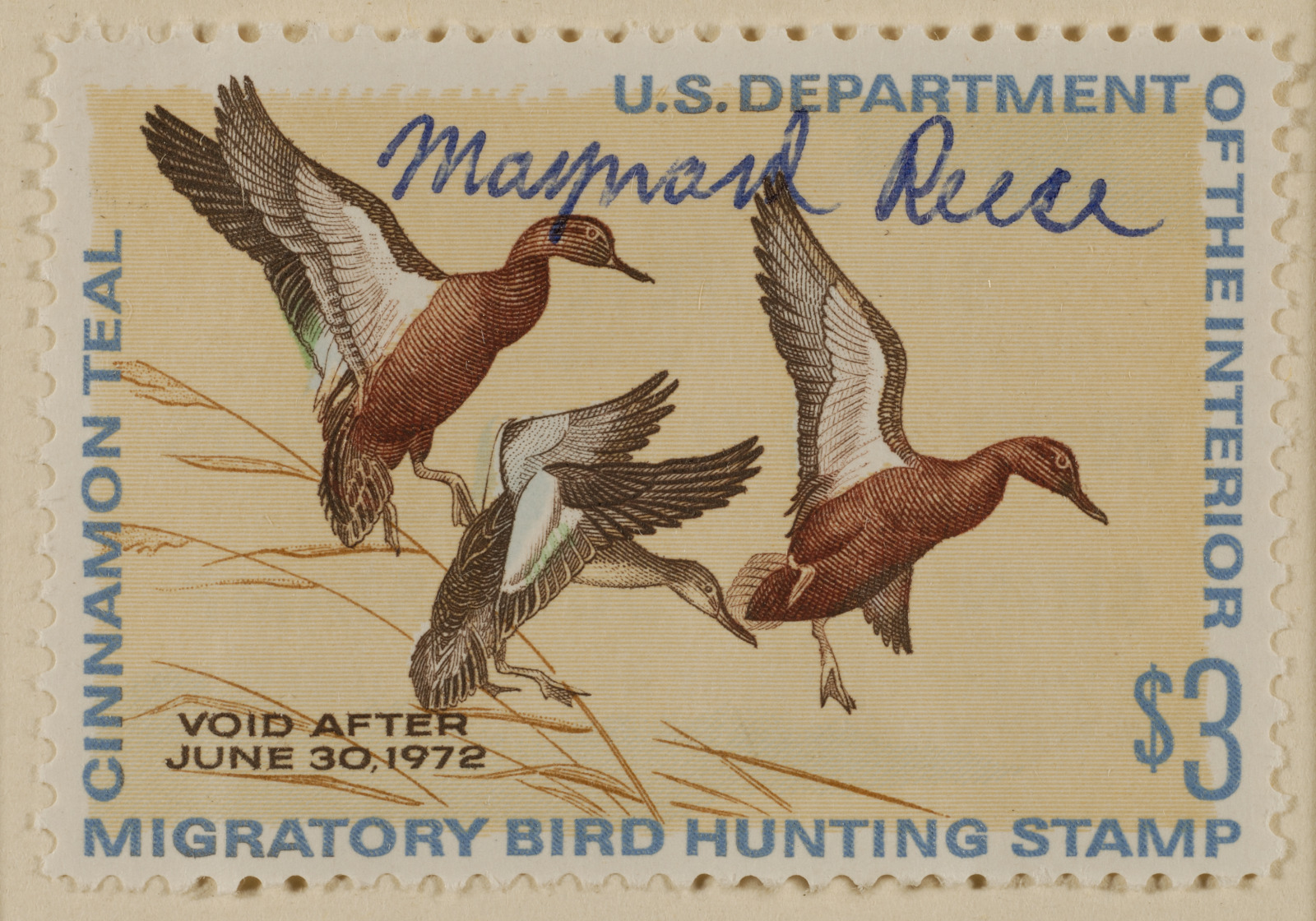 Migratory Bird Hunting Stamp after the etching "Cinnamon Teal" - Saint ...