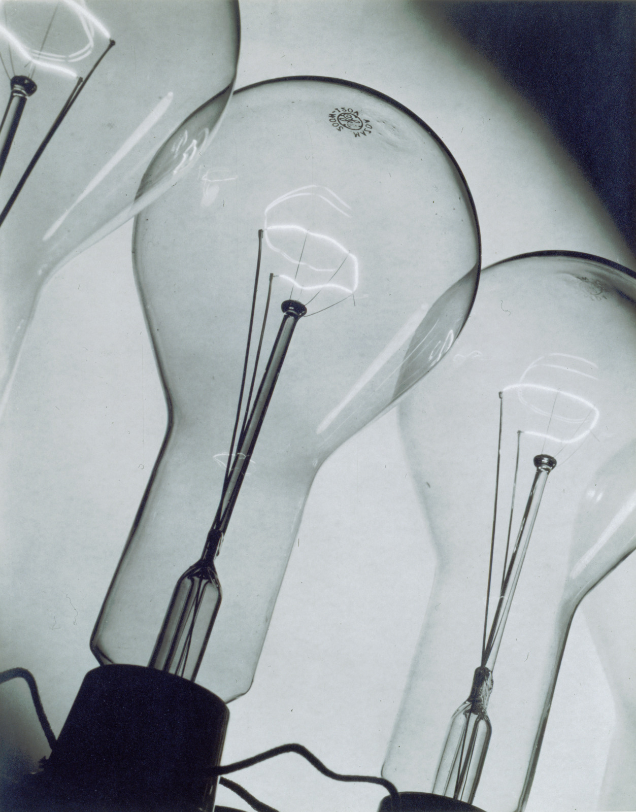 Light Bulbs - Saint Louis Art Museum