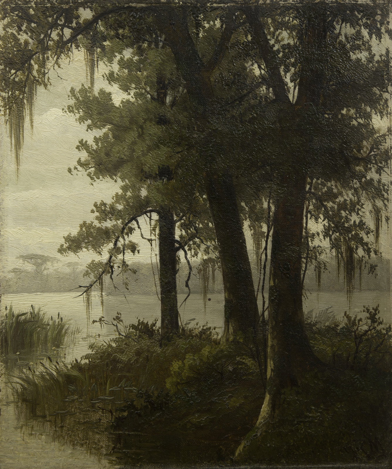 Swamp Scene - Saint Louis Art Museum