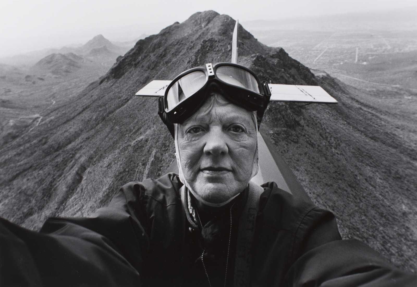 Myself as a Pilot - Saint Louis Art Museum