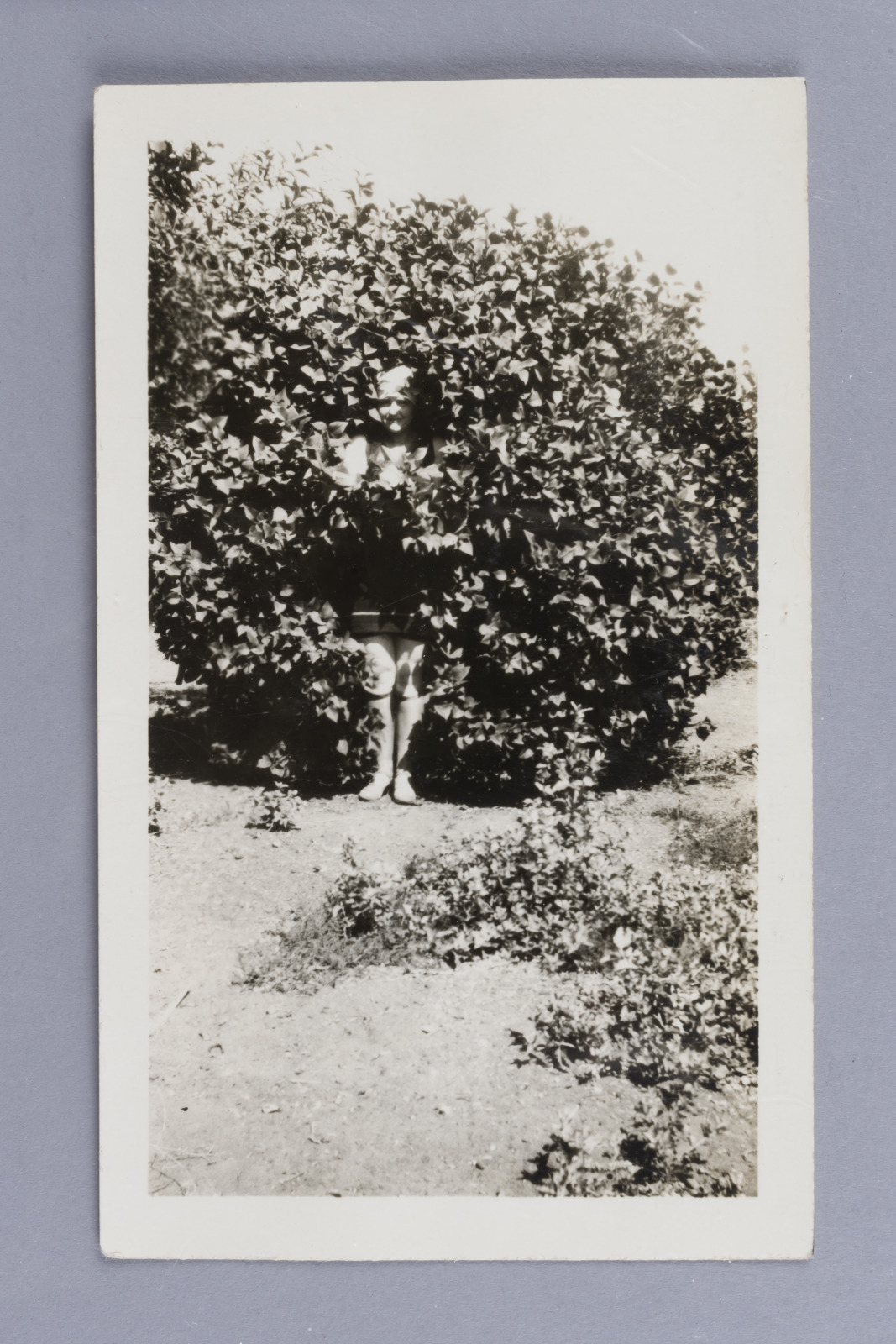 Untitled (Woman Peeking Out of Bush) - Saint Louis Art Museum