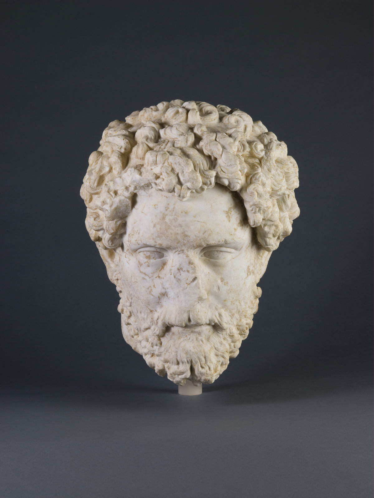 Head of a Man - Saint Louis Art Museum