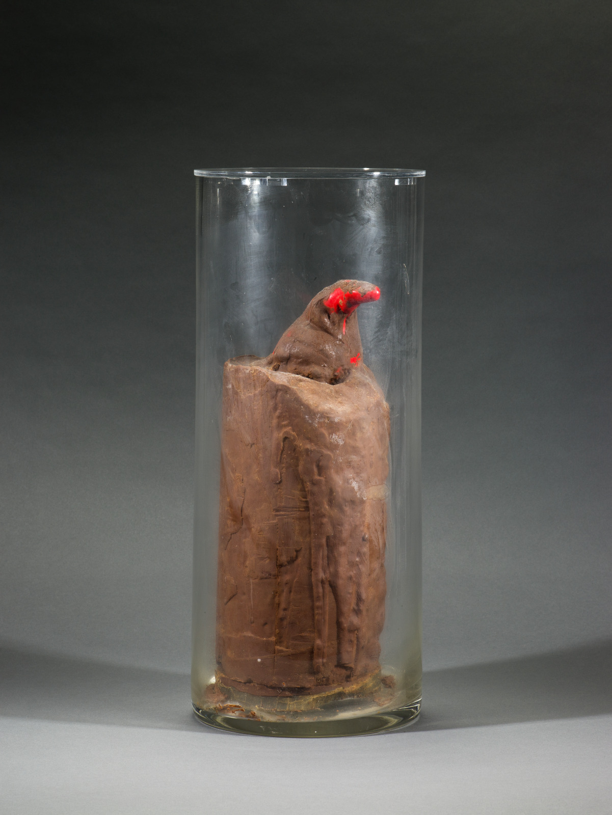 Chocolate Gnome - Saint Louis Art Museum