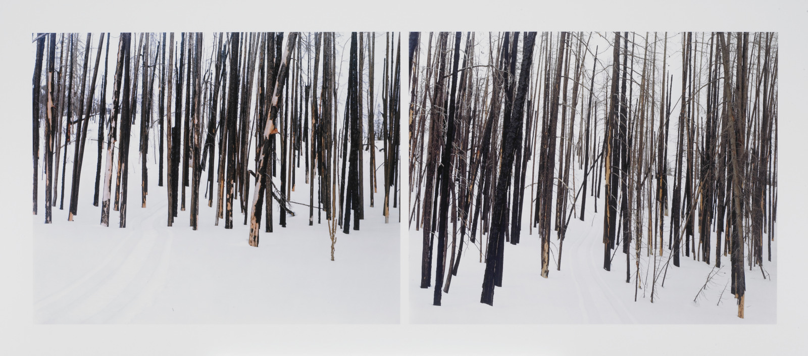 Midwinter (Two Sides of One Hill), Idaho - Saint Louis Art Museum