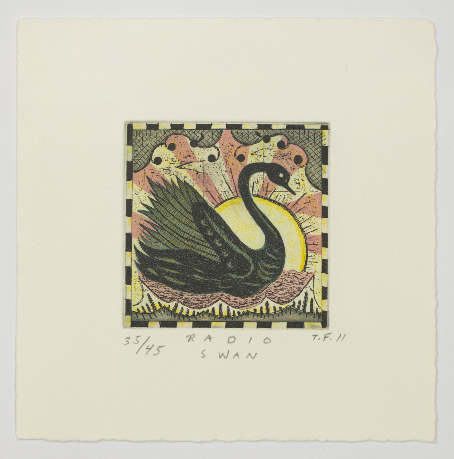 The Radio Swan - Saint Louis Art Museum