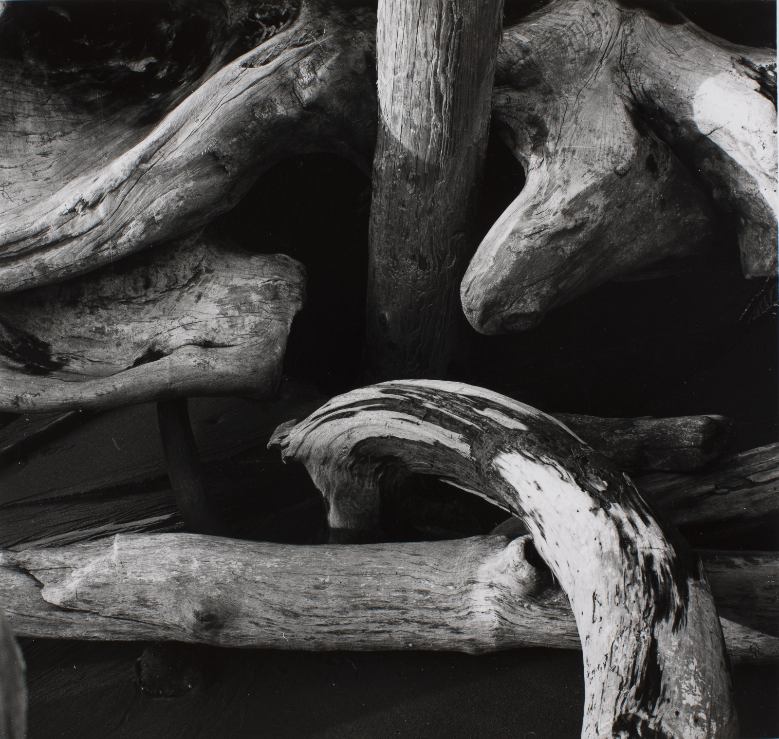 Wood - Saint Louis Art Museum